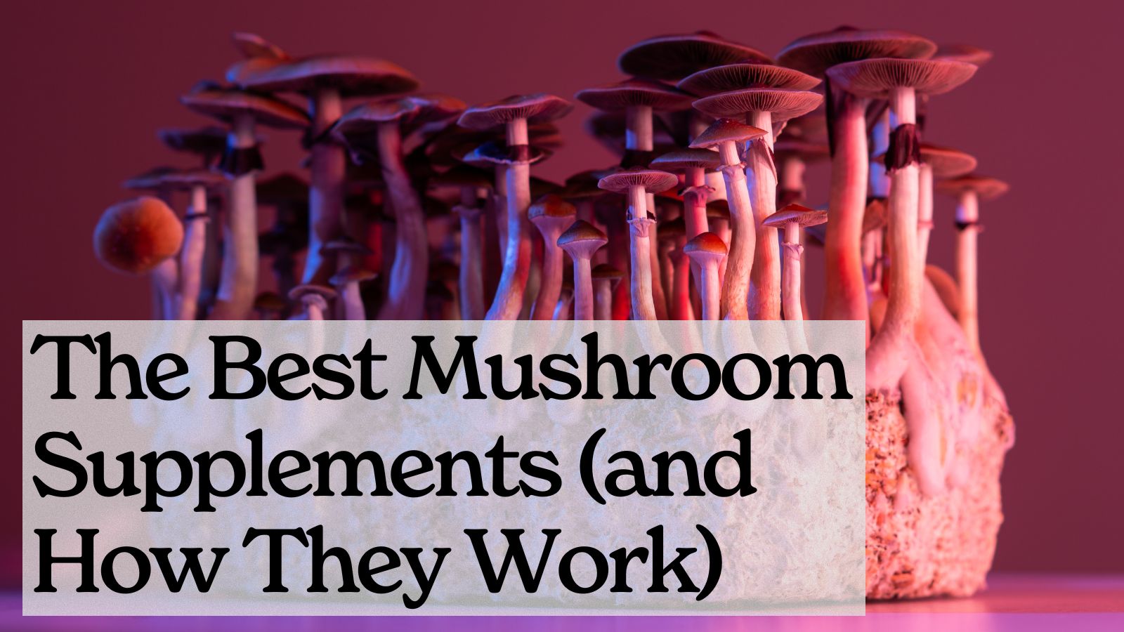The Best Mushroom Supplements (and How They Work) – National Hemp Service