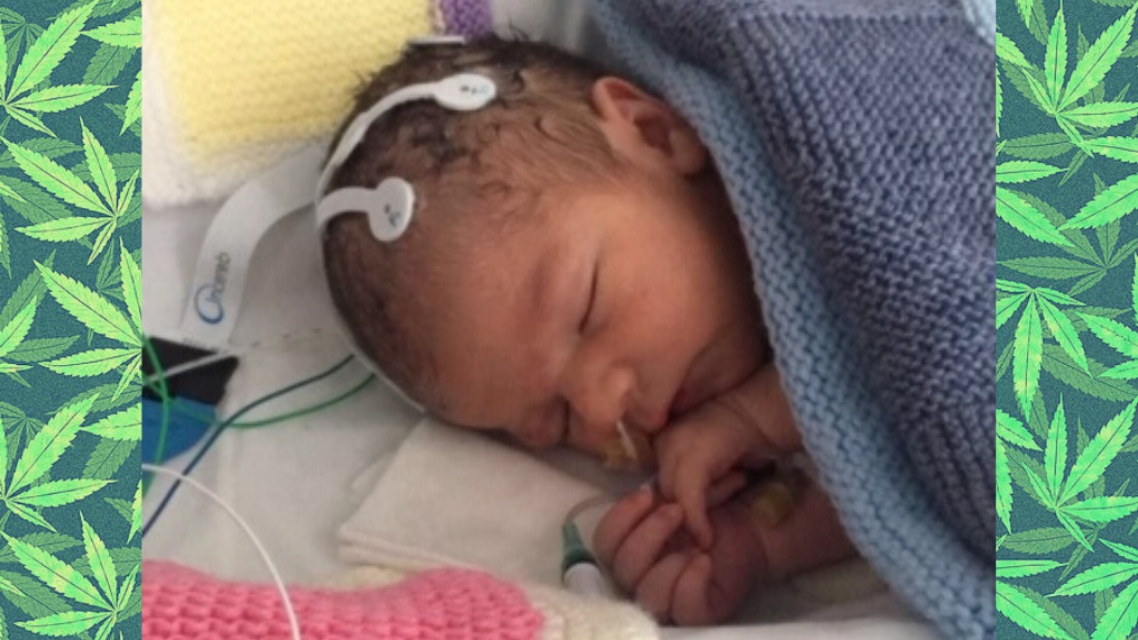 Norfolk baby given cannabis treatment in world first – National Hemp ...